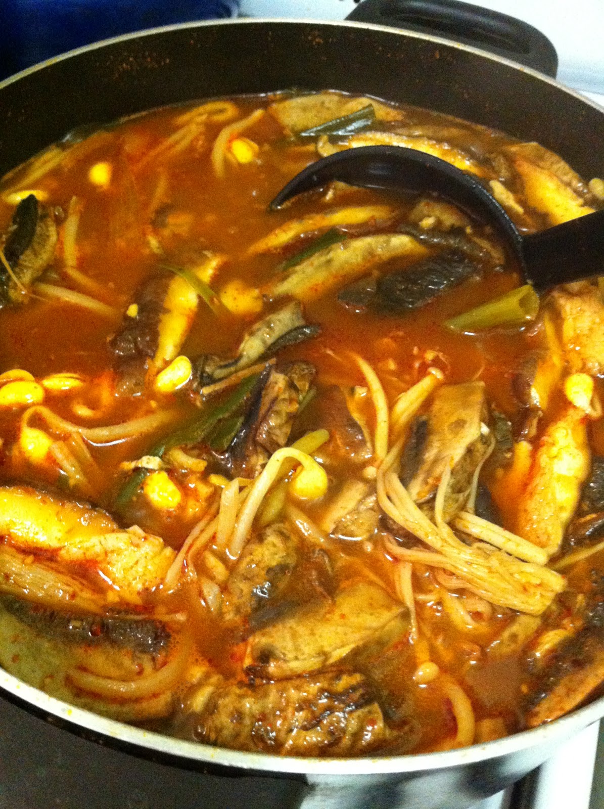 Korean Spicy Beef Soup (Yuk Gae Jang 육개장) – Home Made